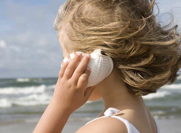 seashells ocean sound