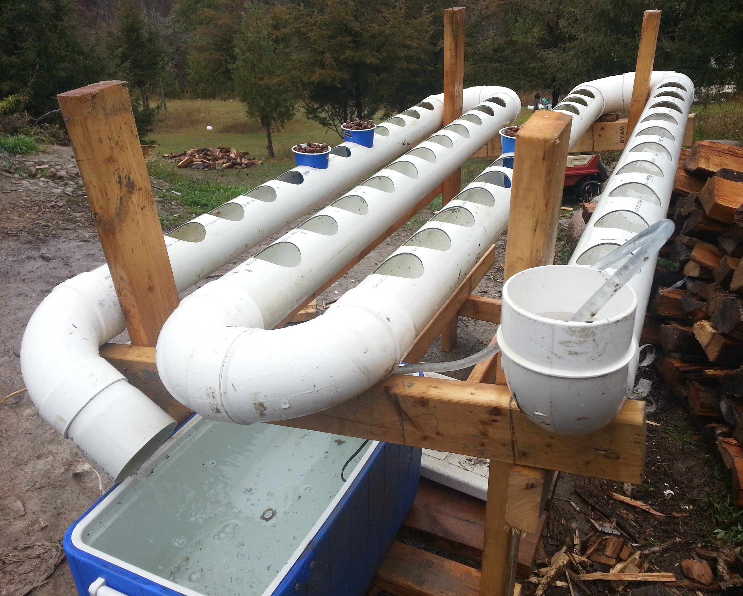 Hydroponic Garden Setup