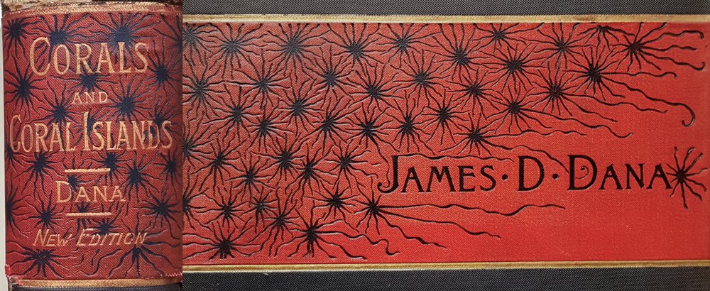 Research Paths - From Coral to a Poem and Everything Inbetween — Steemit