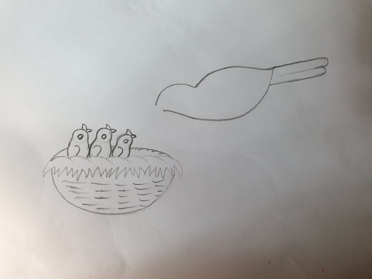 how to draw birds nest