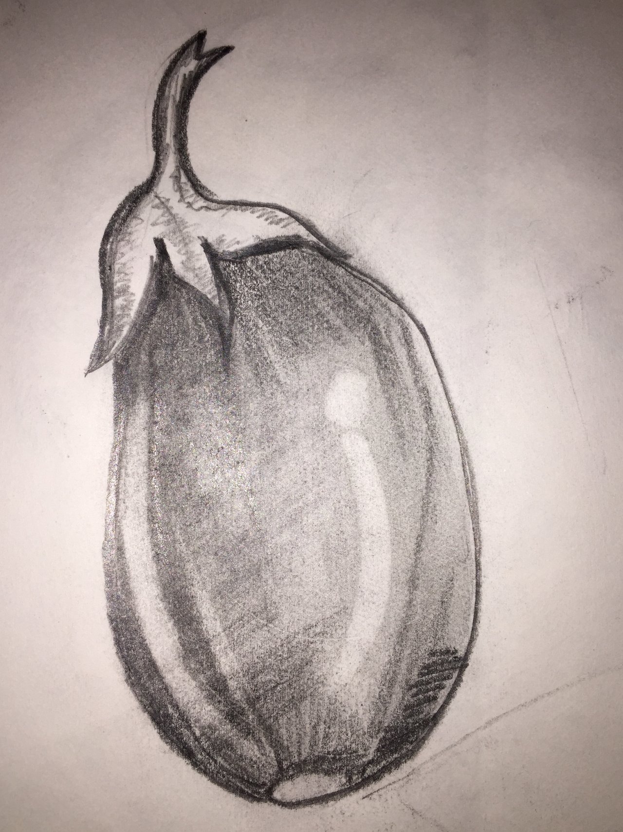 Brinjal Drawing