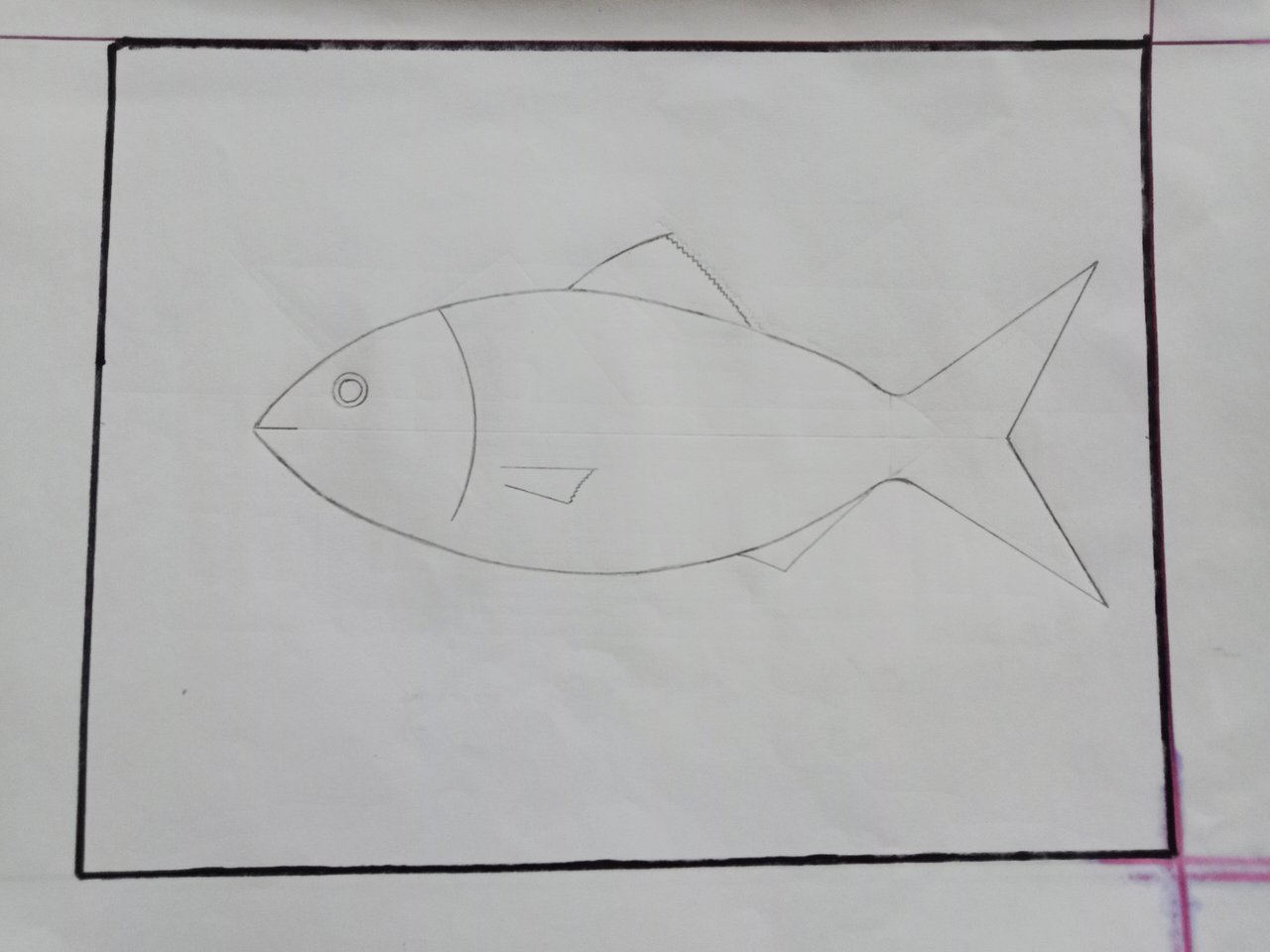 how to draw little fish