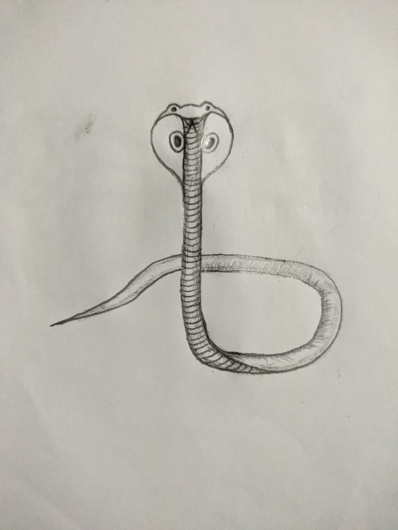 how to draw a snake with pencil