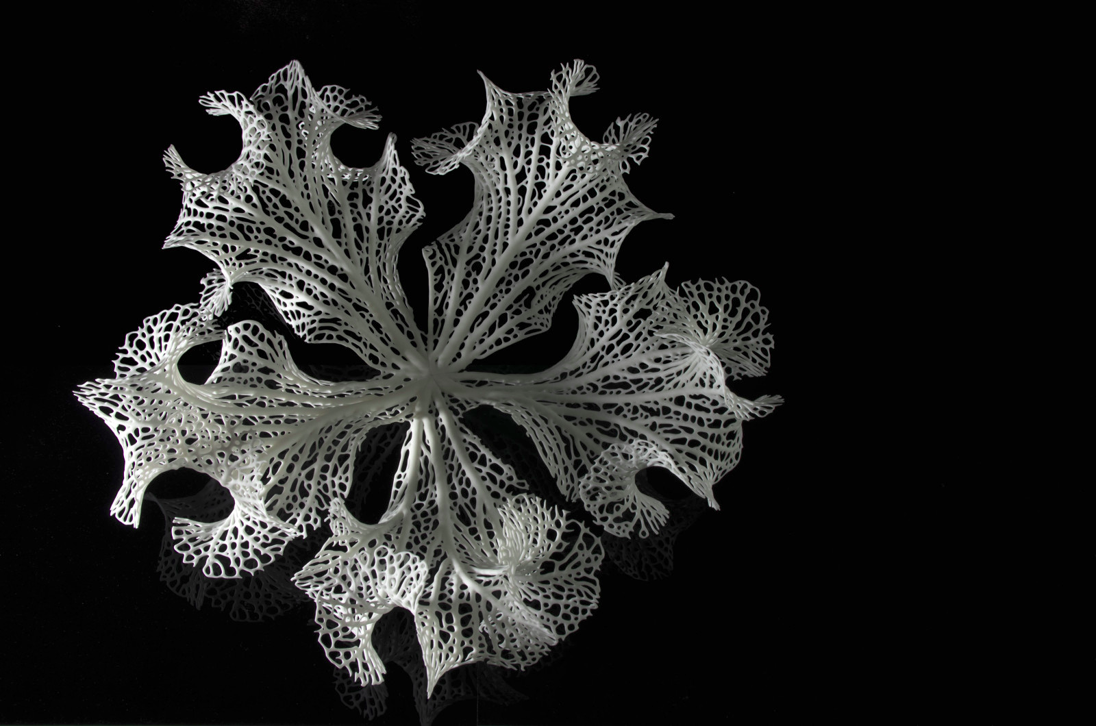 Ex 3d Fractal Printable