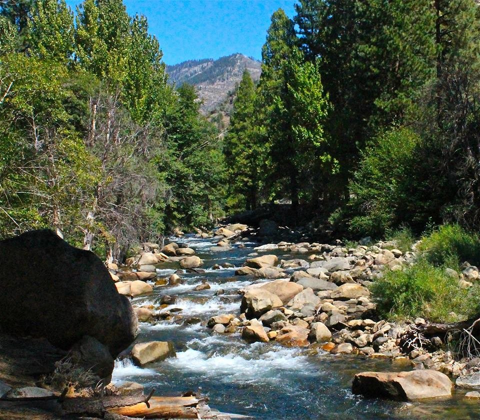 Sierra Nevada Adventures - Golden Trout Loop — Steemit