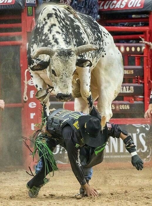 Our Only Female Professional Bull Rider — Steemit