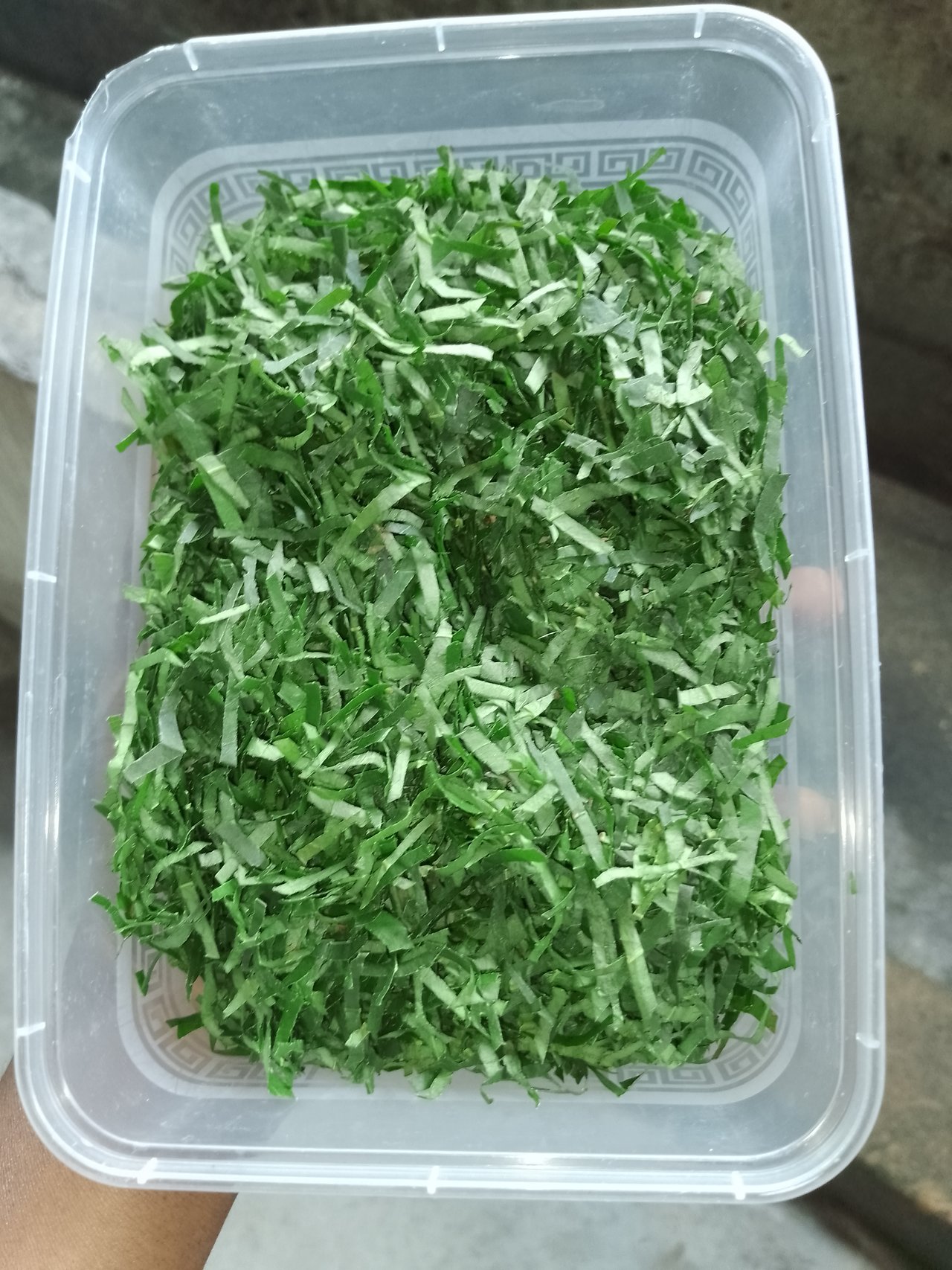 LEARN WITH STEEM: WHAT YOU NEED TO KNOW ABOUT THE UKAZI PLANT THAT WILL ...