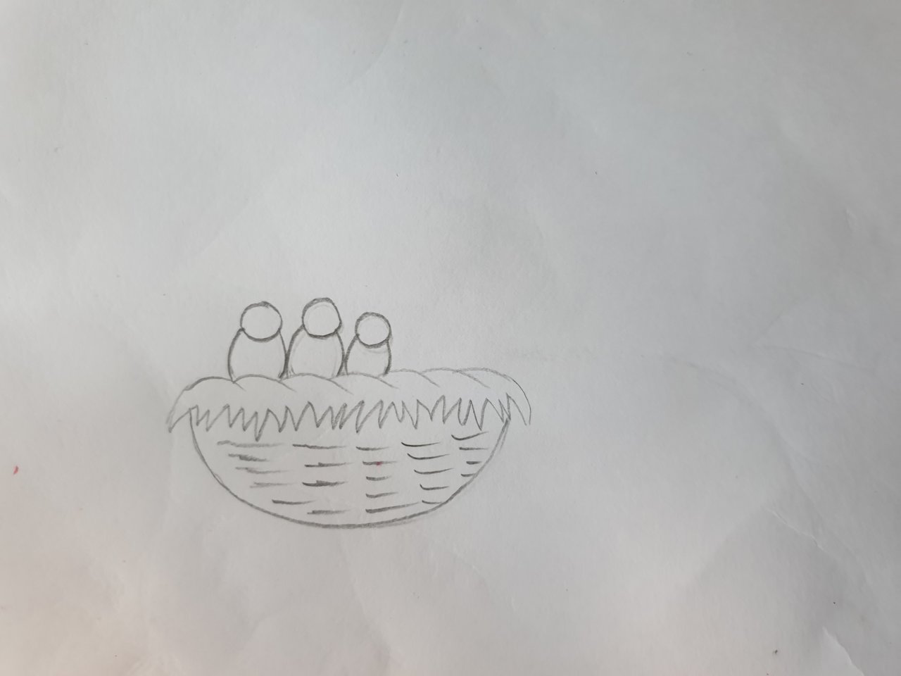 how to draw bird and nest