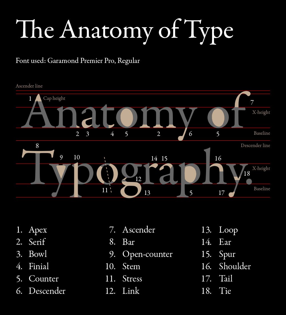 Typography – Part 3: The Anatomy of Typography — Steemit