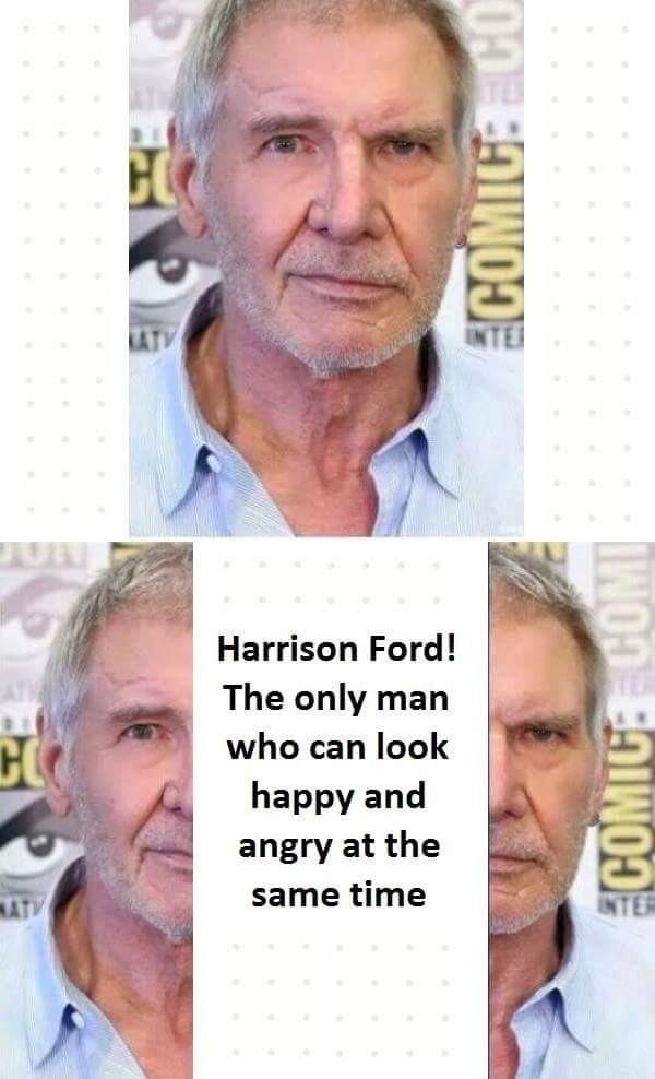 Harrison Ford Memes