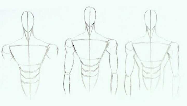 Anime Boy Body Structure