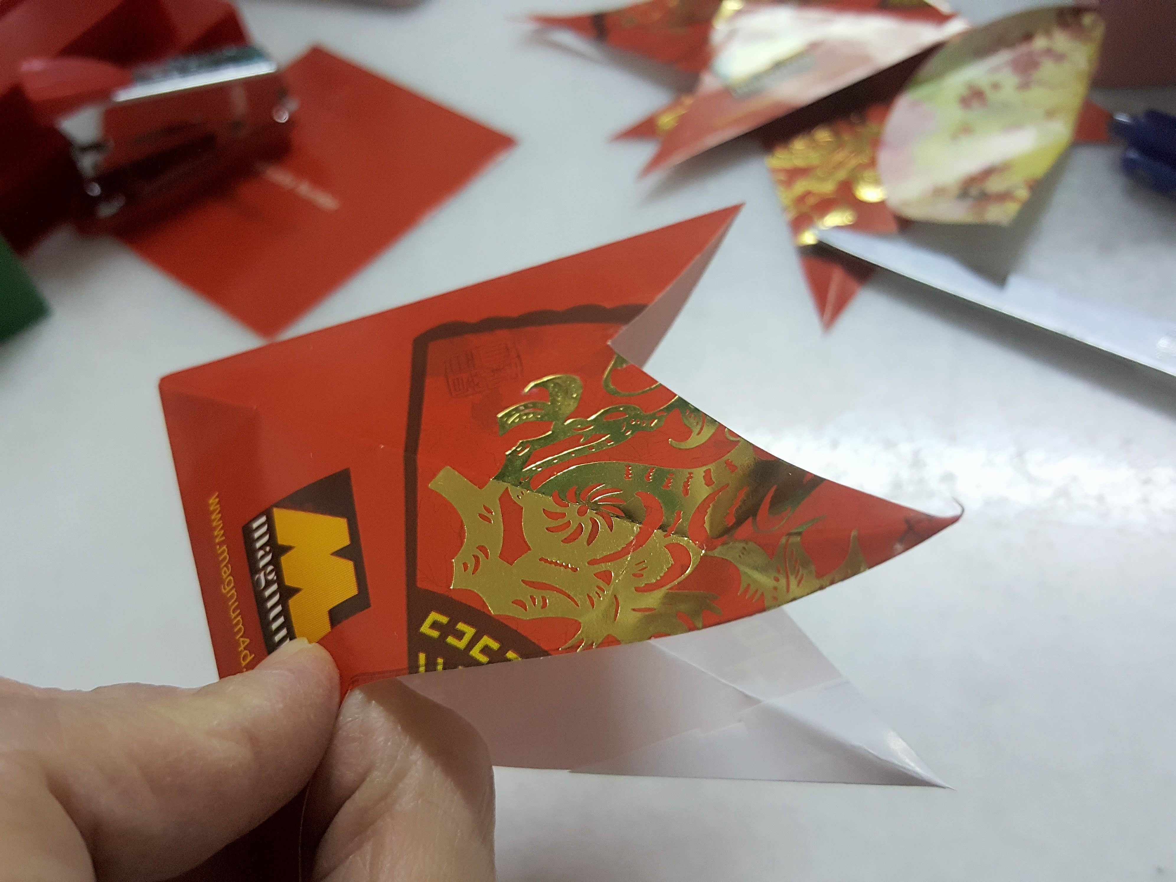 Chinese New Year Fish Craft