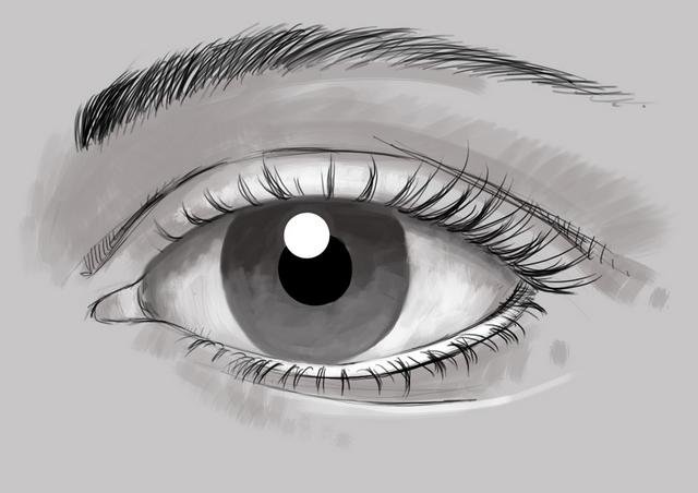 how to draw a human eye step by step easy