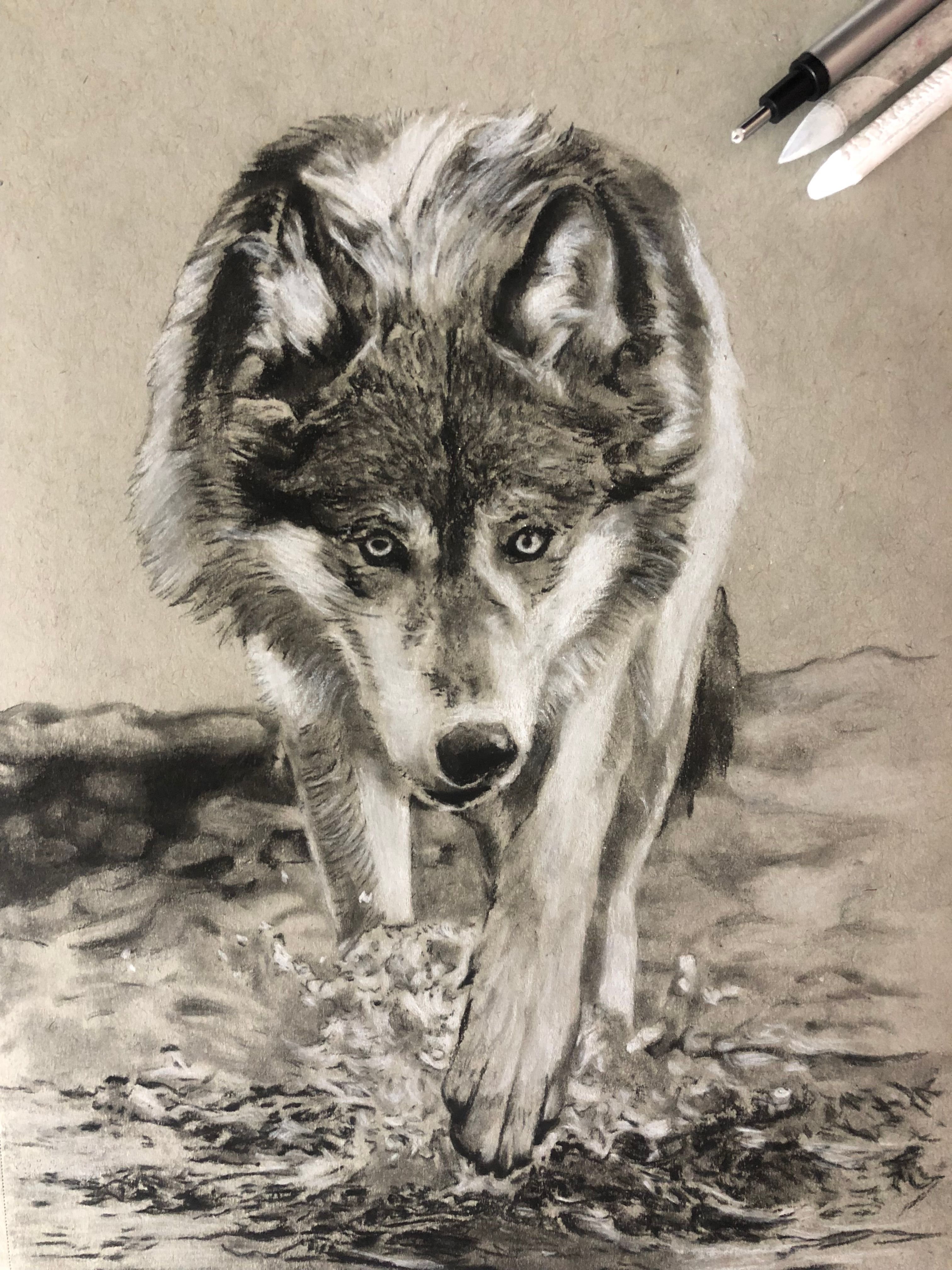 how to draw a wolf with its mouth open