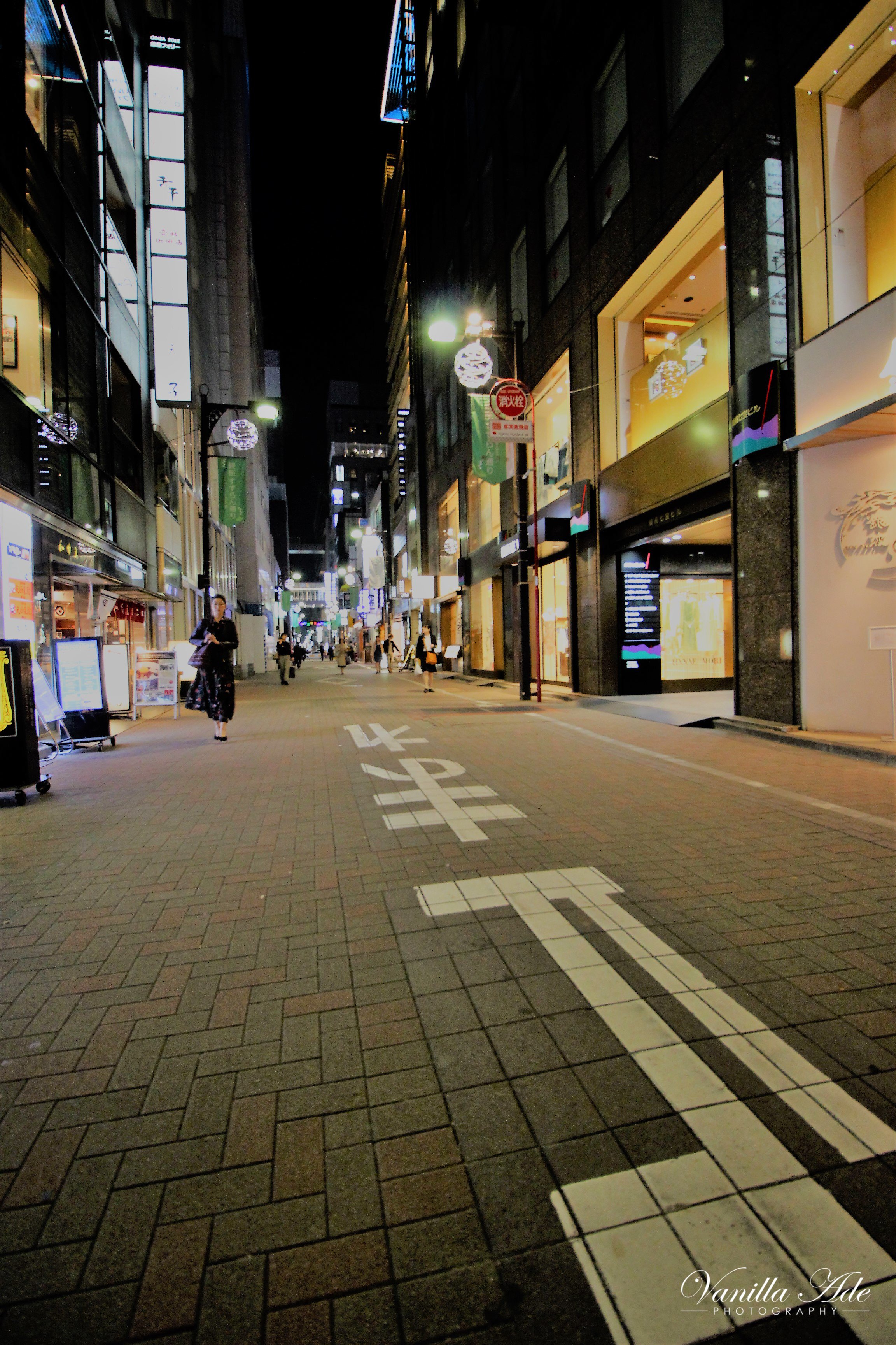 [KR] 도쿄 가이세키 맛집 투어 - GINZA KAMIYA KOBIKIAN — Steemit