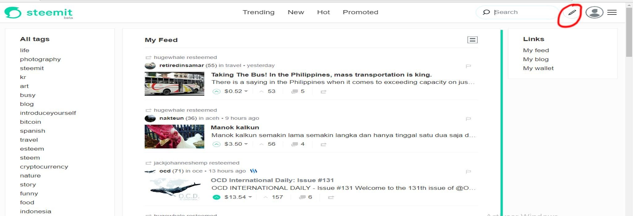 steemit interface deel 1 (Nederlandstalige informatie) — Steemit