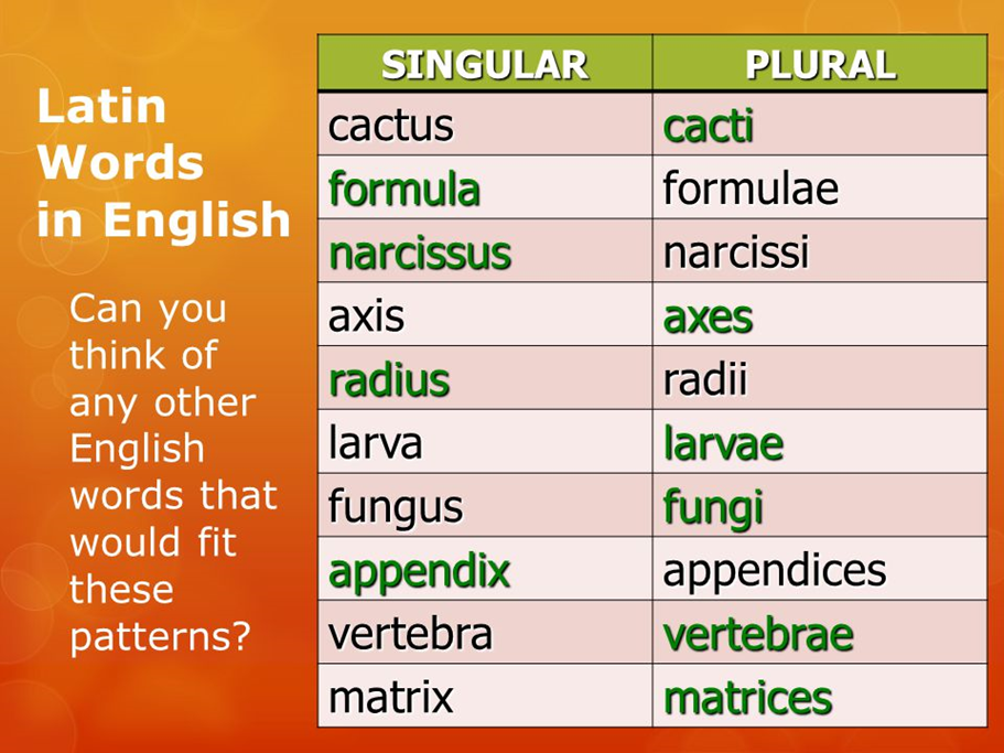ENGLISH GRAMMAR: WORDS DERIVED FROM LATIN — Steemit