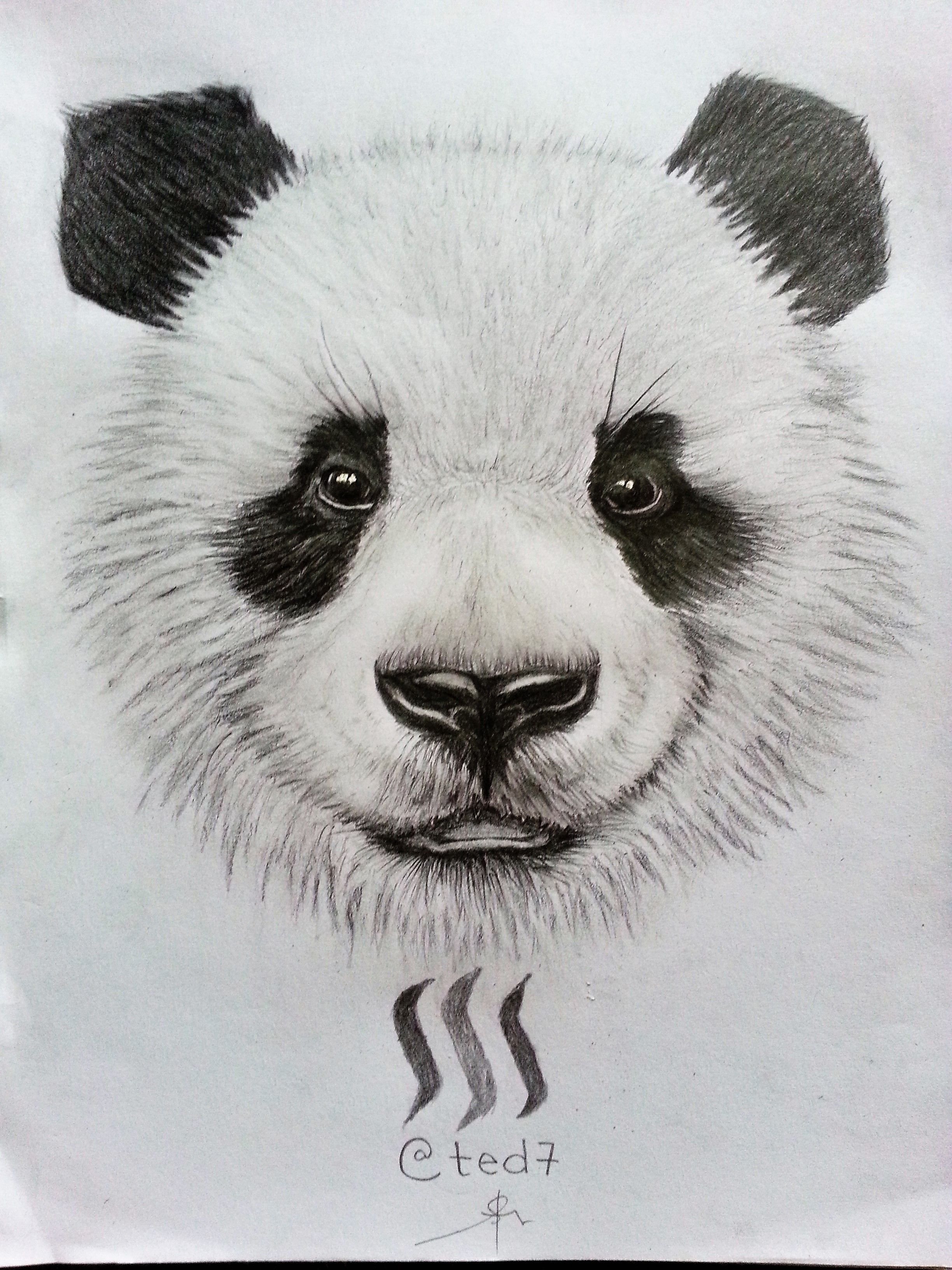 how to draw beautiful panda