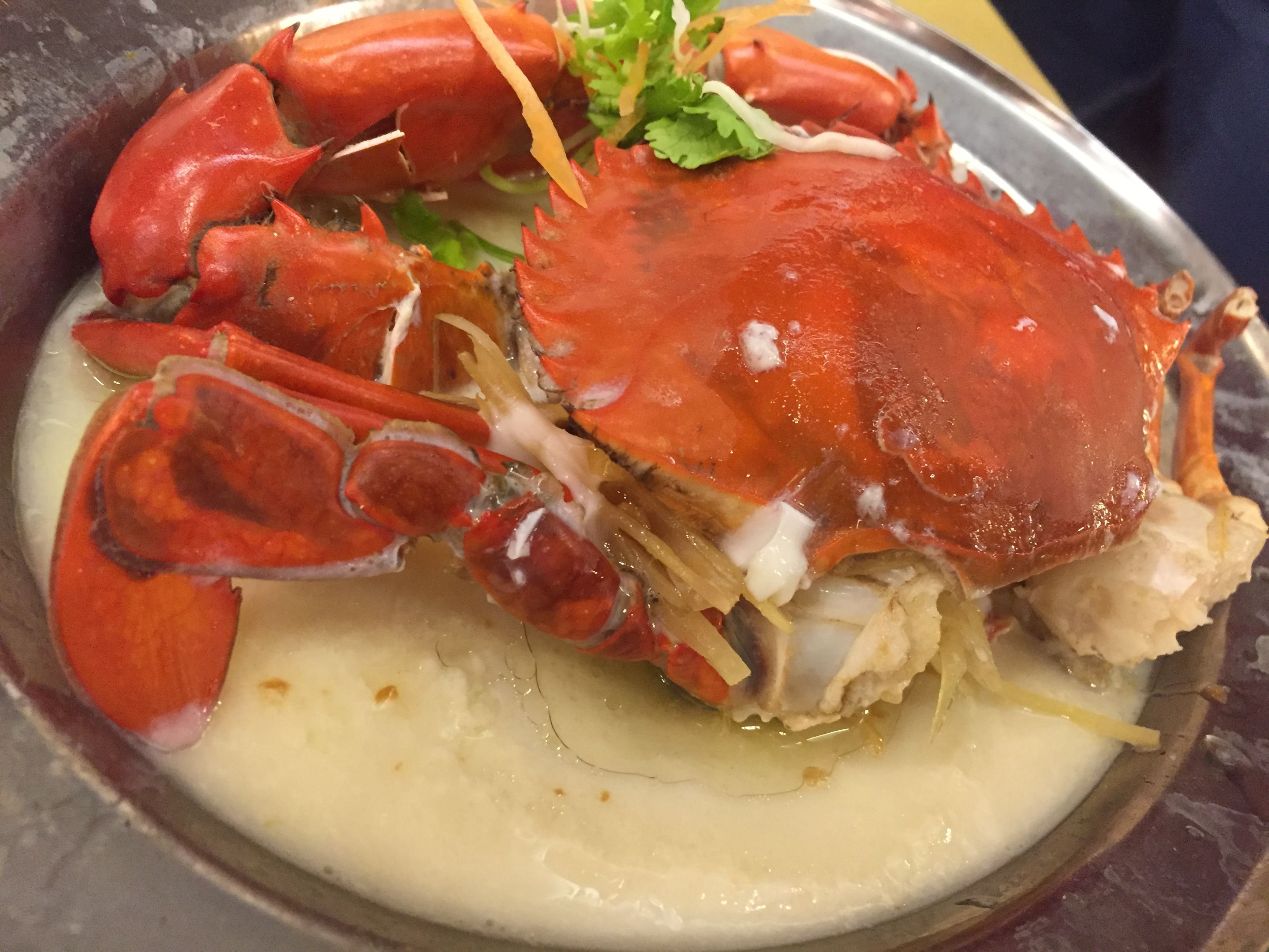 Langkawi Weekender - The Orkid Ria Seafood Restaurant Review — Steemit