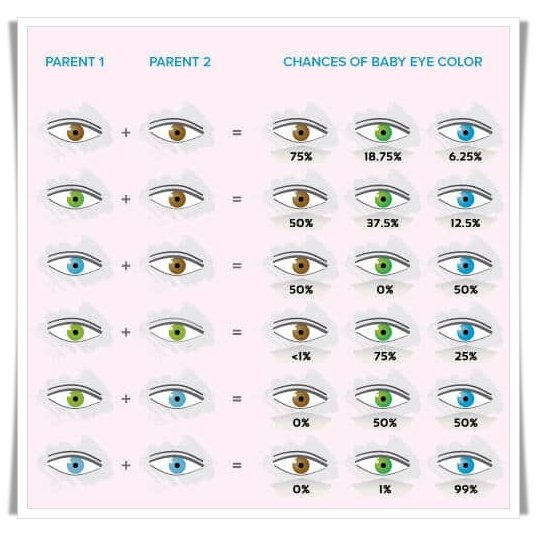 Human Eye Color Chart Genetics