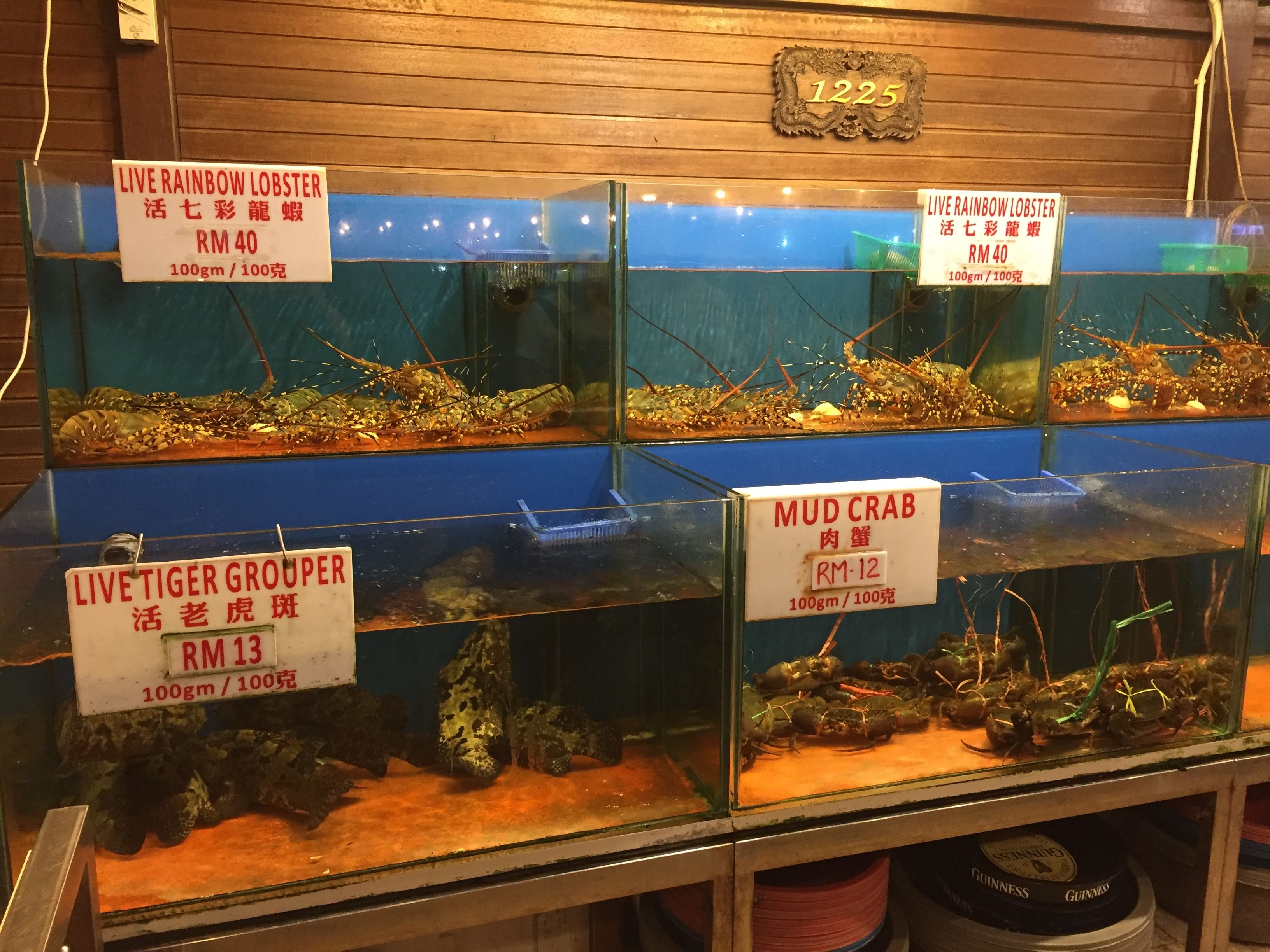 Langkawi Weekender - The Orkid Ria Seafood Restaurant Review — Steemit