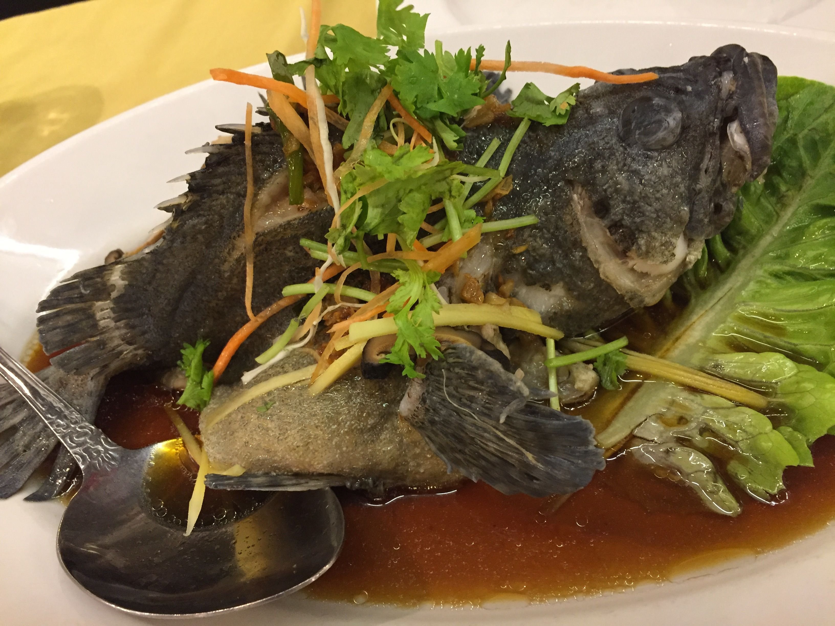 Langkawi Weekender - The Orkid Ria Seafood Restaurant Review — Steemit