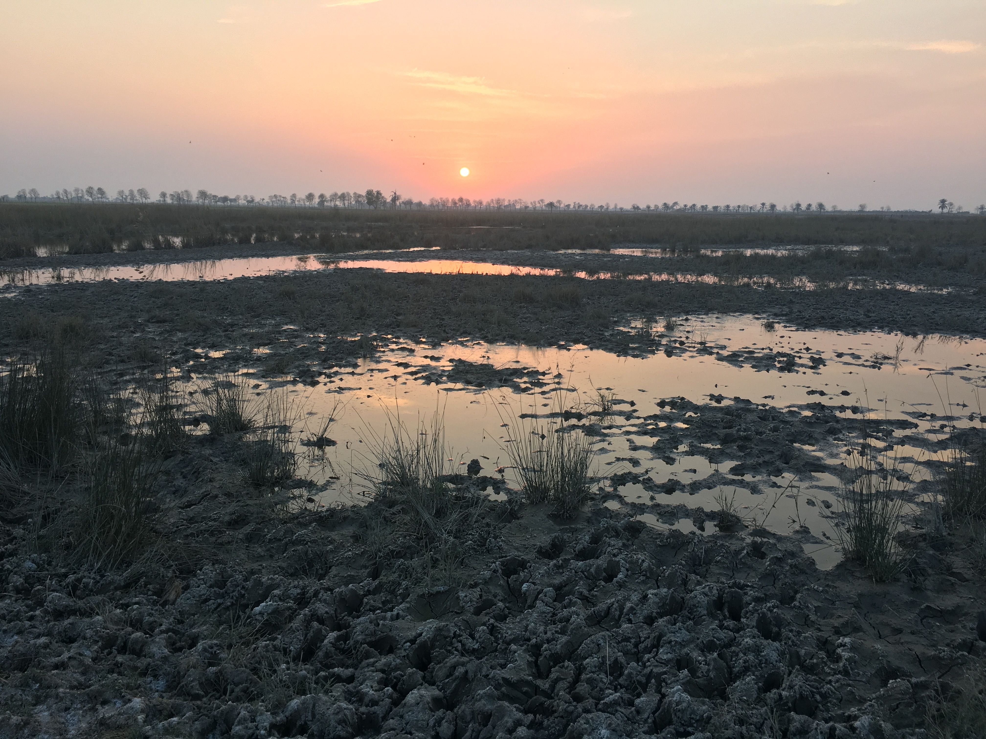 Interior sindh Pakistan — Steemit