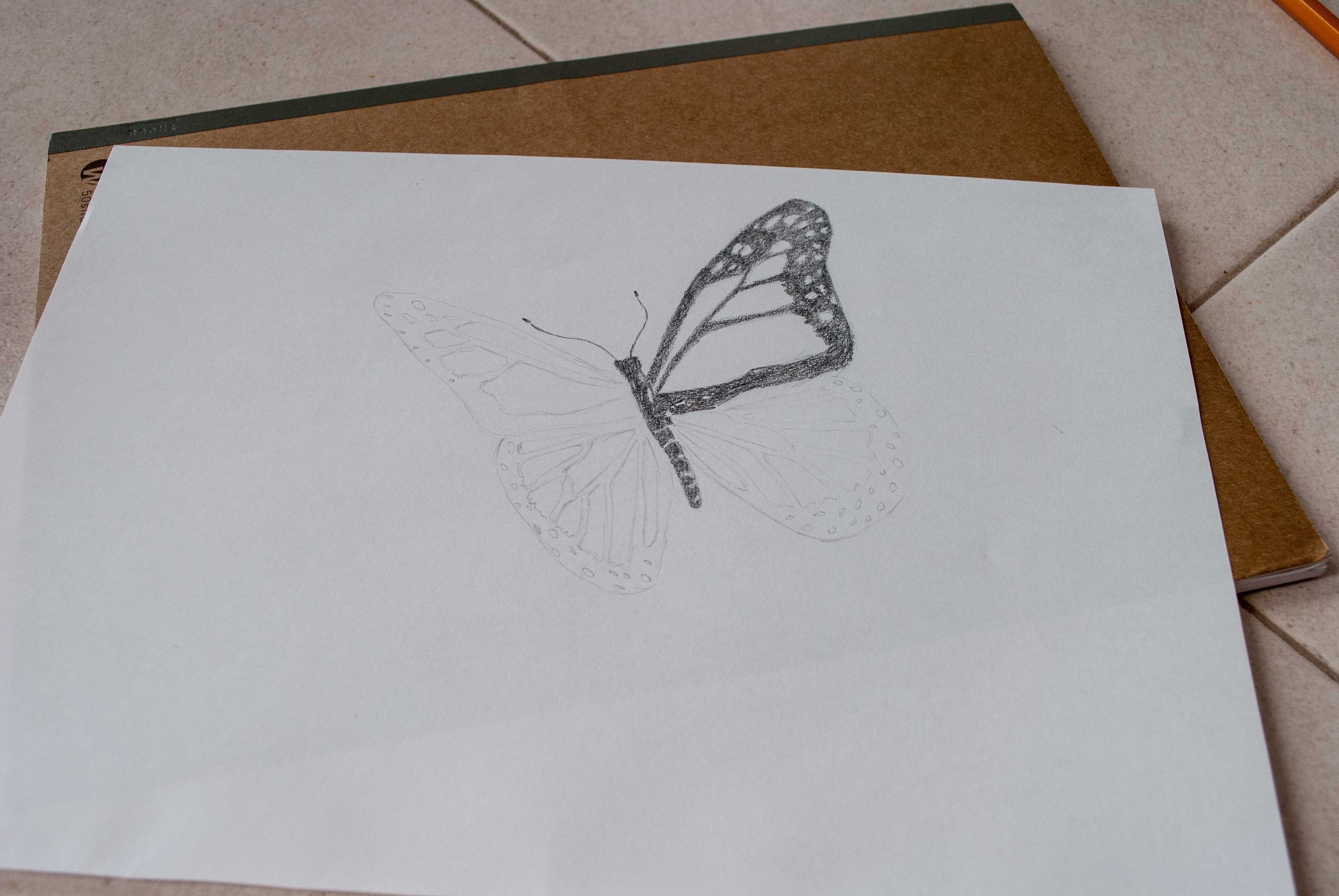 how to draw butterfly in paper