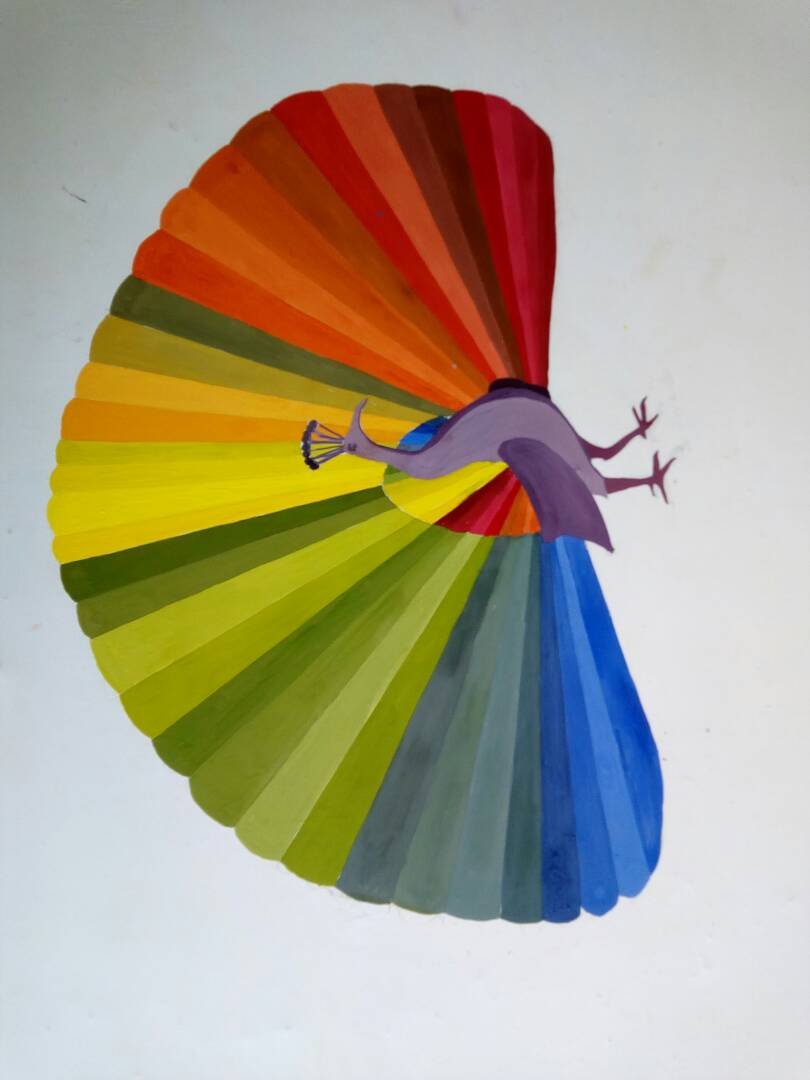 Creative Color Wheel Designs