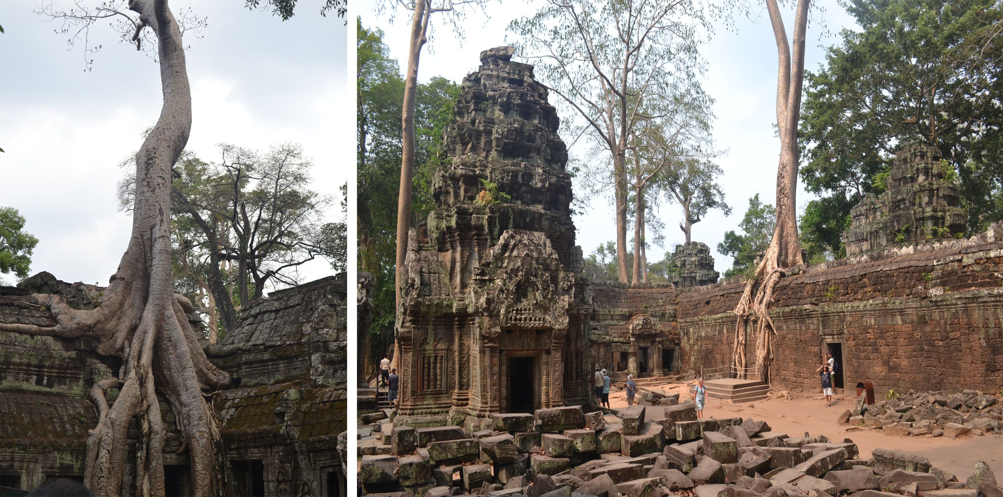 Travel Diary #3: Temple Run at Angkor — Steemit
