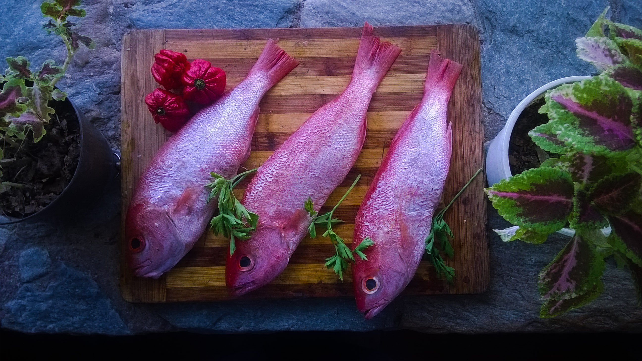 La mejor forma de comer pescado es frito!! — Steemit