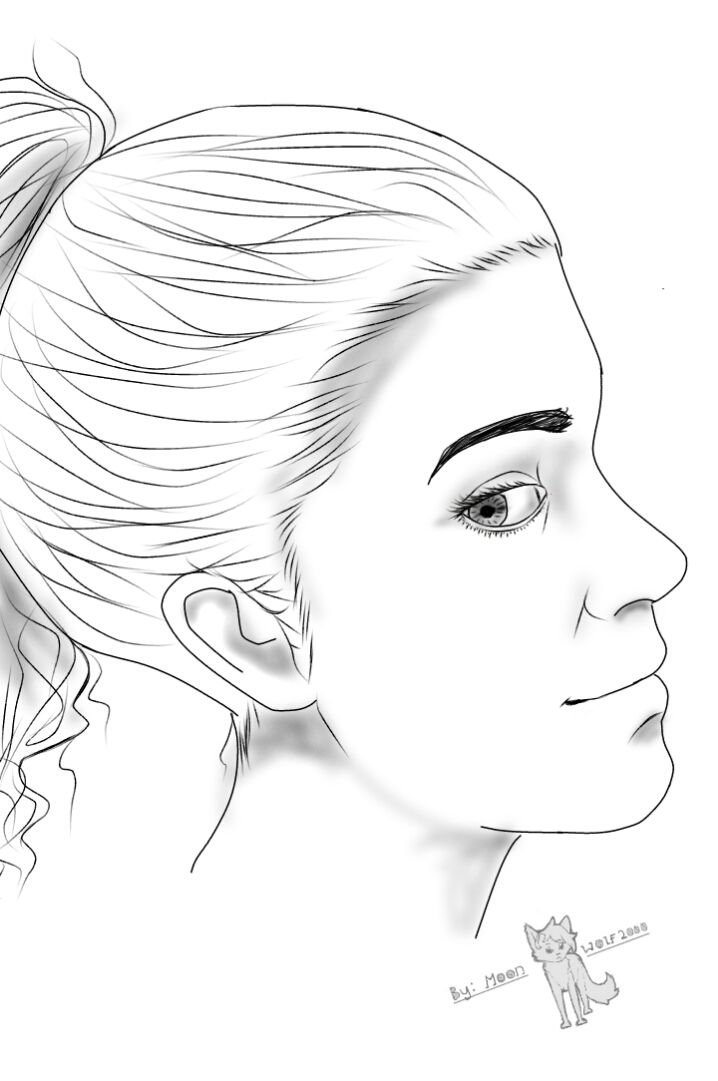 how do you draw profile faces