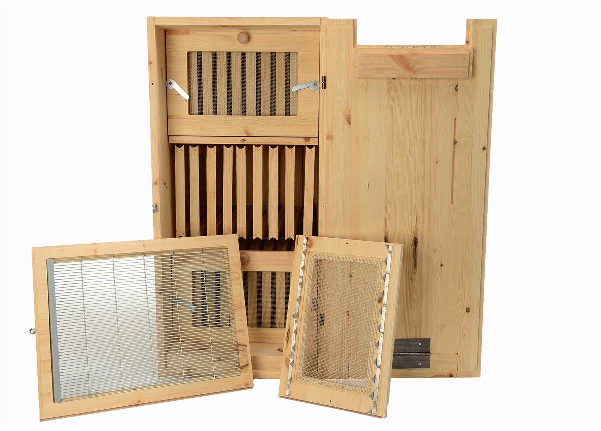 Slovenian AZ Beehive - Progress Report — Steemit