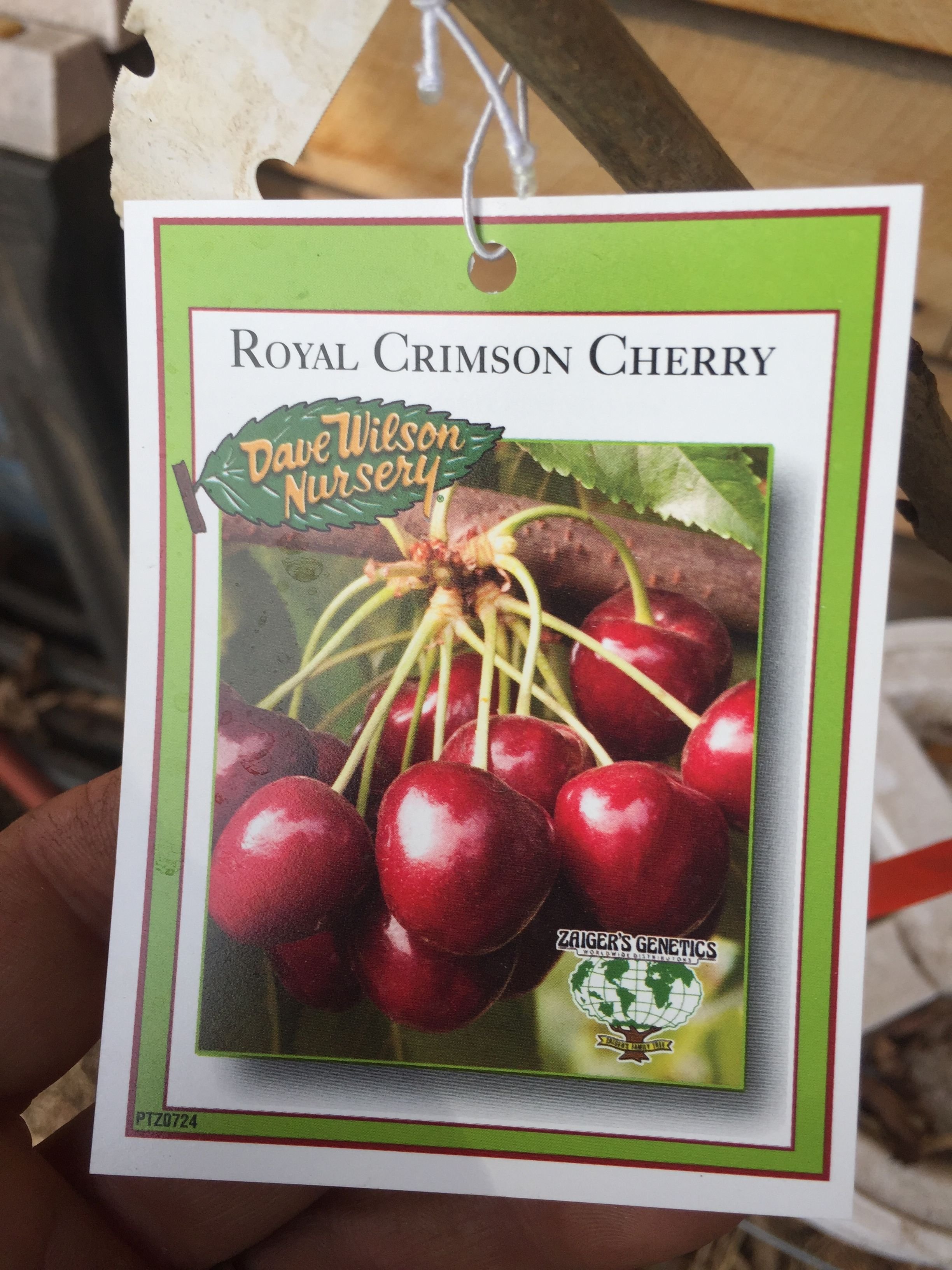 Have you heard of the Royal Crimson Cherry? — Steemit