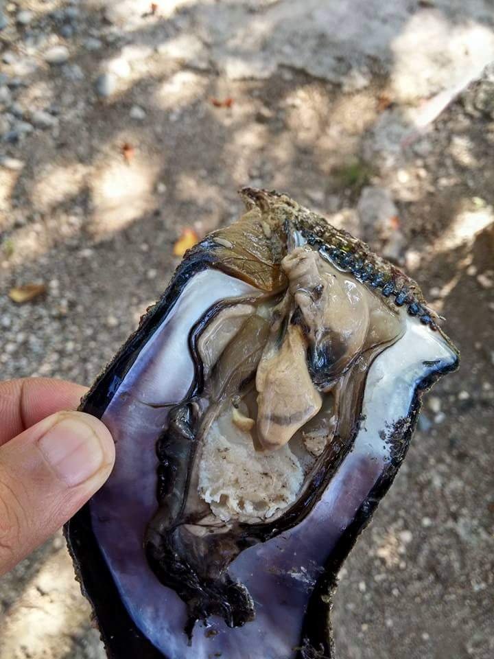 Wasay-wasay Seafood — Steemit