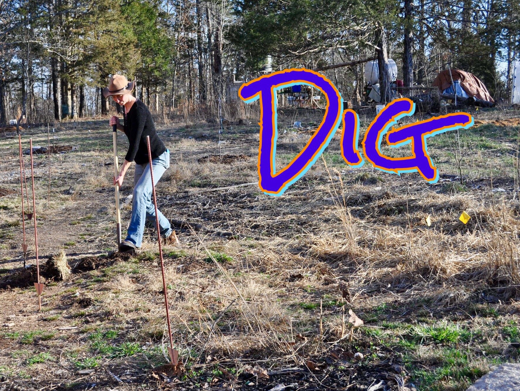 Homestead How To: Create A Swale & Berm For Water Management | Part 1 ...