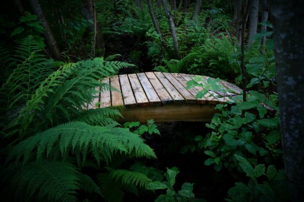 DIY: How to make a curved garden bridge — Steemit