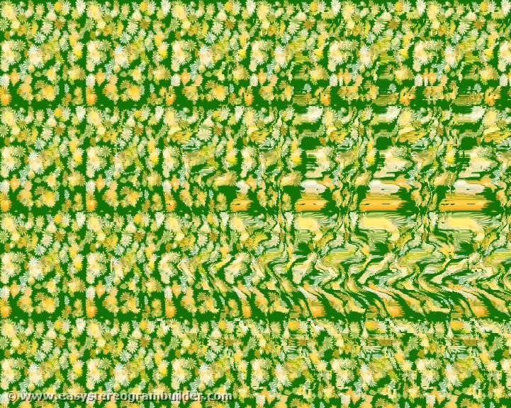 My Original Daily Stereogram - Can you see the hidden image ? #10