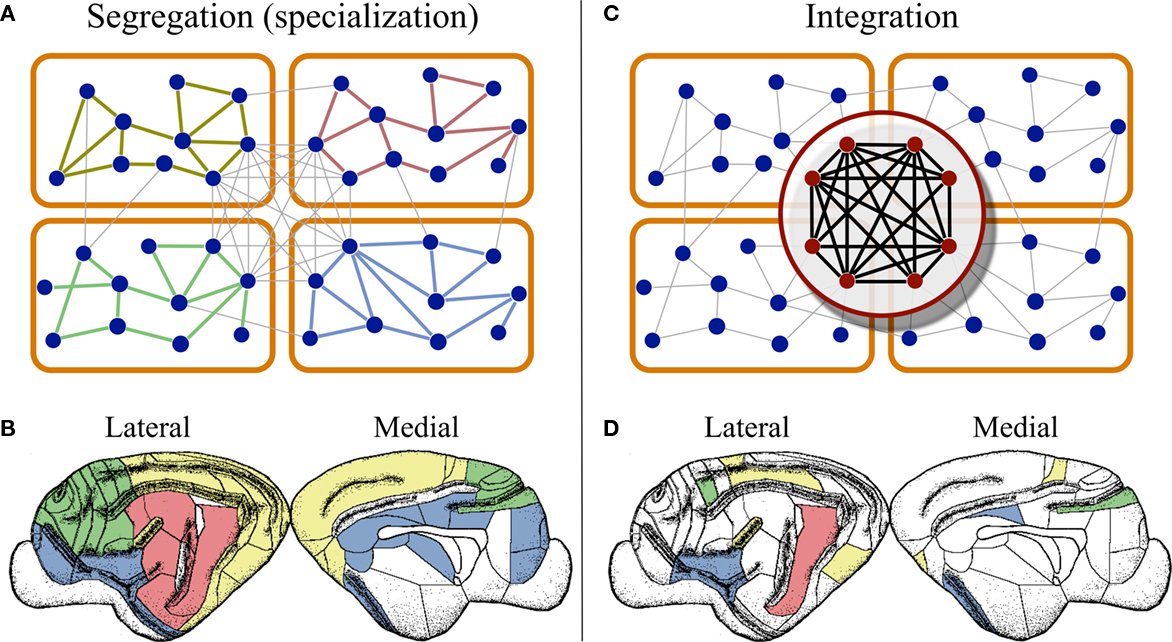 What is Consciousness? Integrated Information Theory - IIT is IT! — Steemit What is Consciousness? Integrated Information Theory - IIT is IT! — Steemit