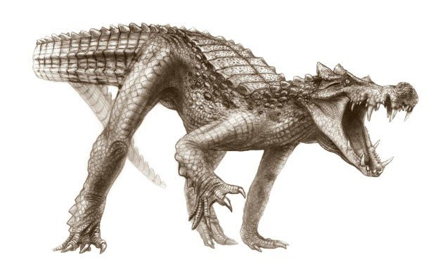 Ancient alligators which had long legs and run faster than dinosaurs ...