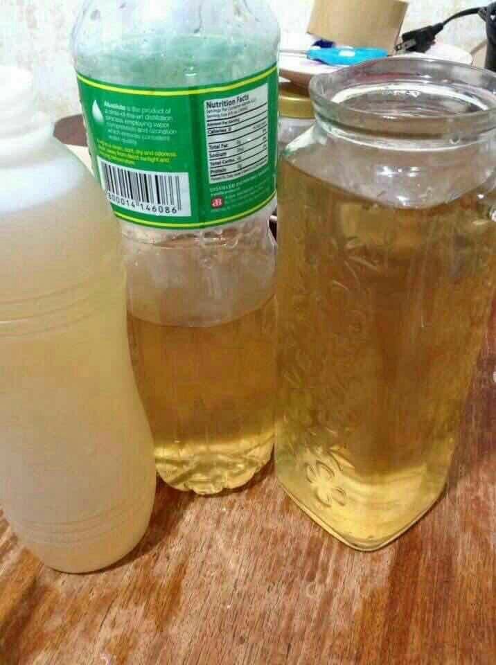 Paragis / The Miracle Grass