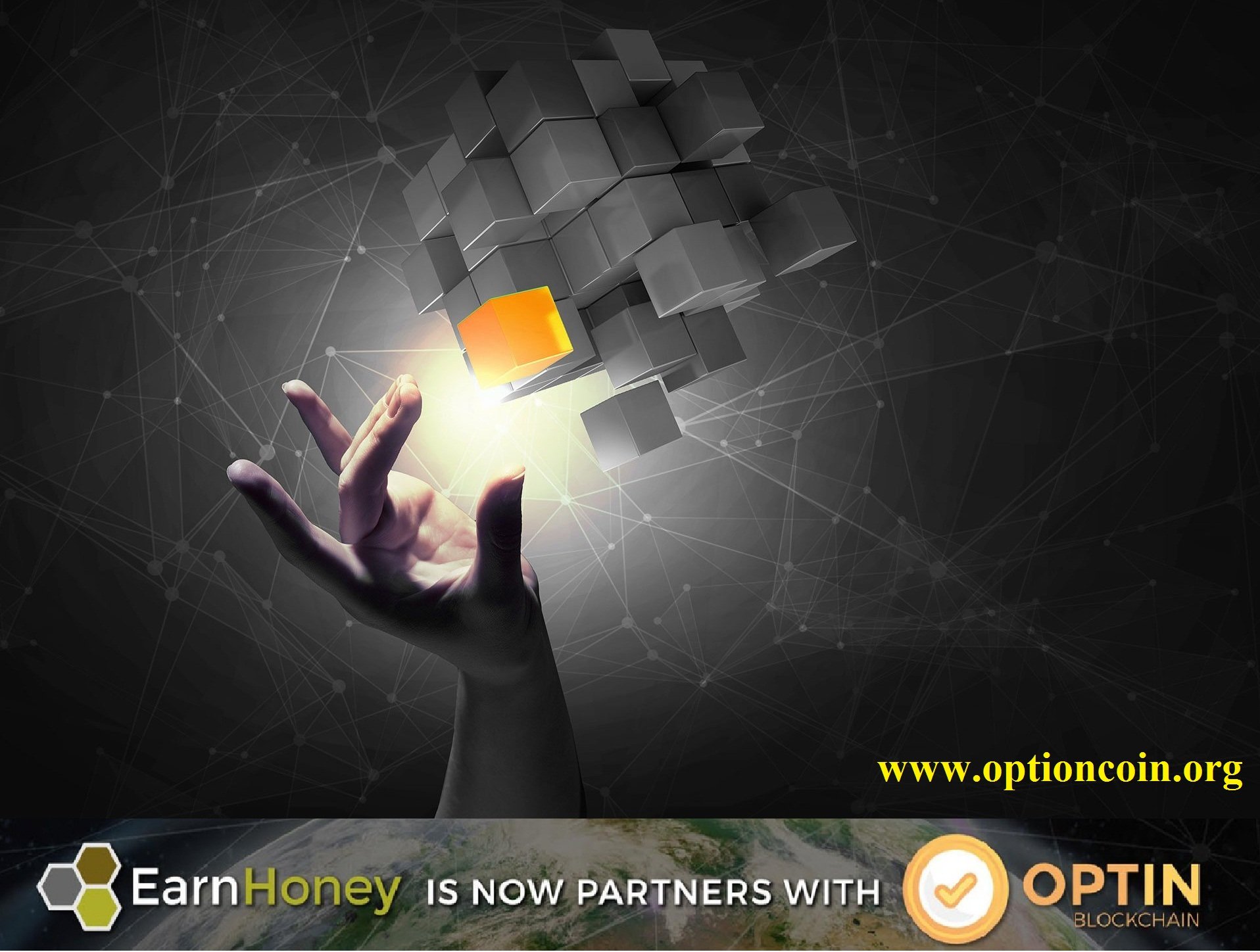 OPTin Network – bisland