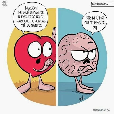 Que Es La Razon Y El Corazon - Solo Para Adultos En Las Palmas De Gran ...