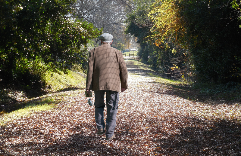 Caminos de vida. poema.