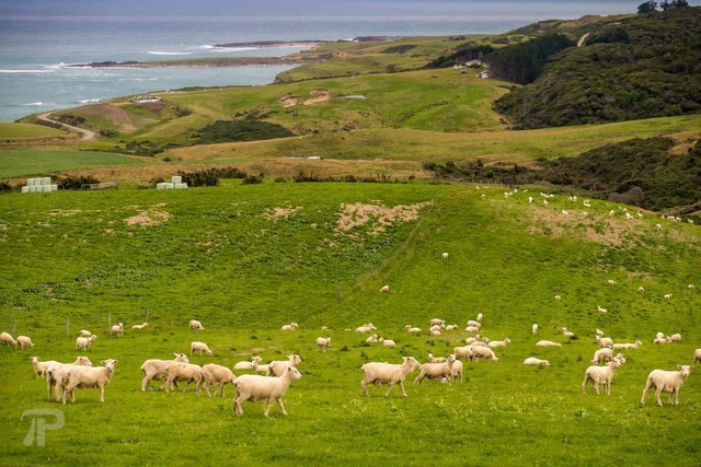 7 World’s Continents Photo Challenge – Australian Monday week #113 ...