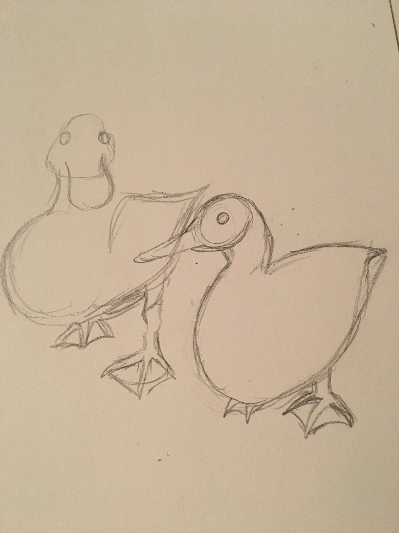 Duck drawing Step by Step!