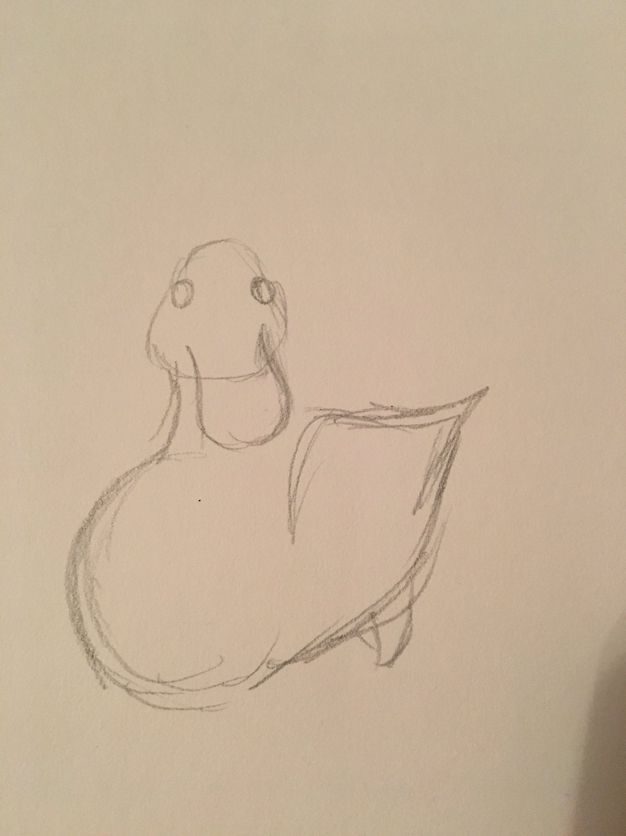 Duck drawing Step by Step!