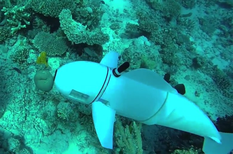 SoFi - The Soft Robotic Fish | Steemhunt