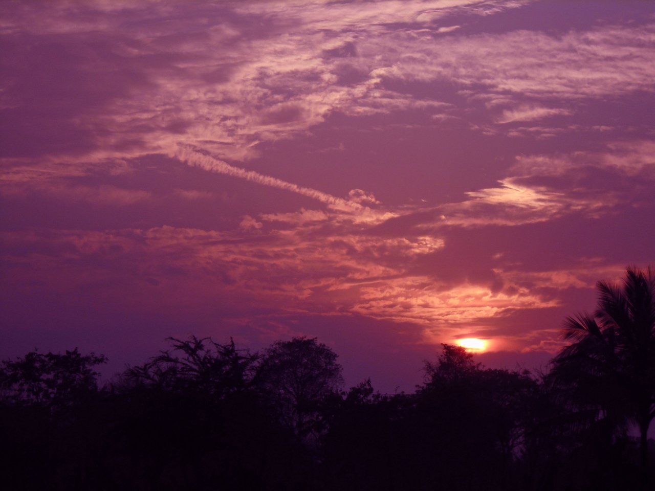 beauty beholds in the eye of the beholder #03 [dusky twilight]