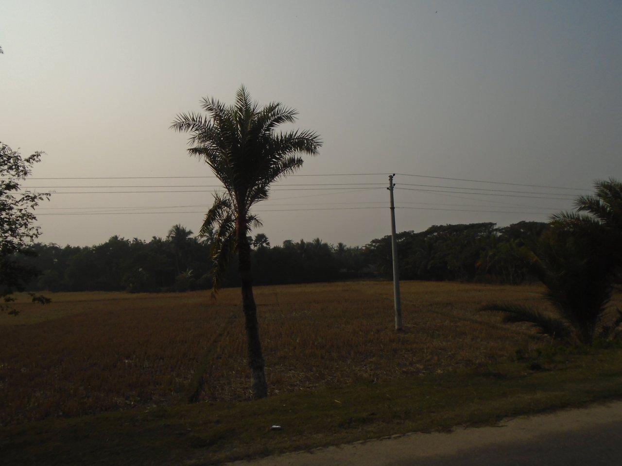 A photograph of dusky twilight - Series 1